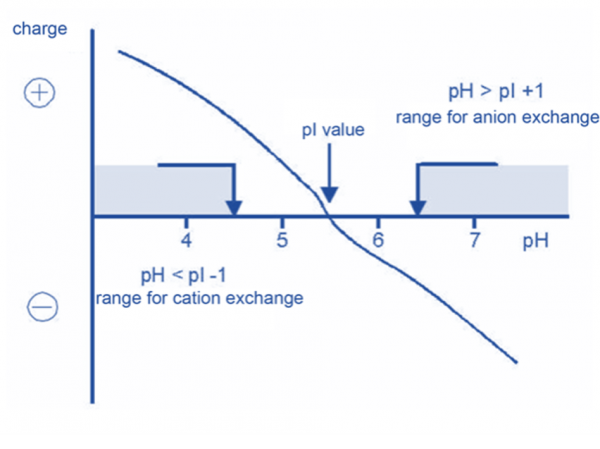 Princípios da Biocromatografia ou Cromatografia de Troca Iônica